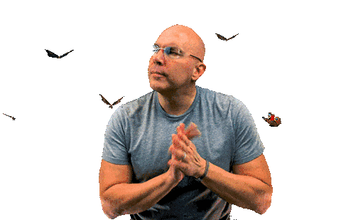 Janda Sticker by Realestate.com for iOS & Android | GIPHY