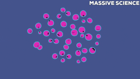 Artificial Intelligence Animation GIF by Massive Science - Find & Share ...