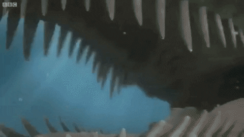 - THE LOST PREDATORS - Dedicated Thread - Page 5