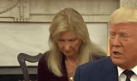 What GIF - Find & Share on GIPHY