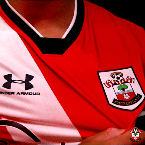 Celebrate Premier League GIF by Southampton FC - Find & Share on GIPHY