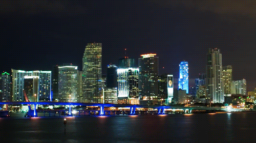 Miami GIF - Find & Share on GIPHY