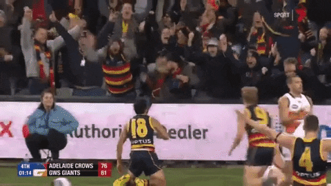Adelaide Crows GIF - Find & Share on GIPHY
