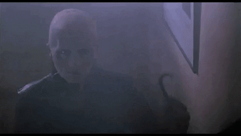 - Find & Share on GIPHY