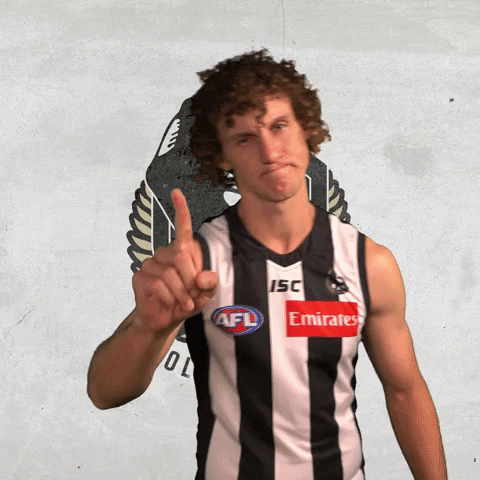 CollingwoodFC GIF - Find & Share on GIPHY