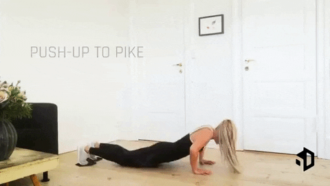 6-Directions GIF - Find & Share on GIPHY