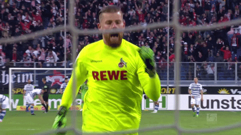 1 Fc Cologne Football GIF by 1. FC Köln - Find & Share on GIPHY