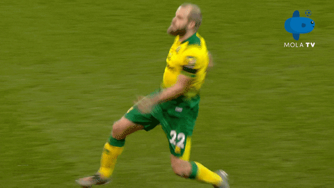 Norwichcity GIF by MolaTV - Find & Share on GIPHY