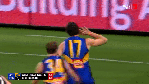Finals Footy GIF by AFL - Find & Share on GIPHY