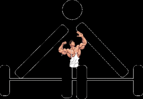Coach Bodybuilding GIF by GaFit - Find & Share on GIPHY