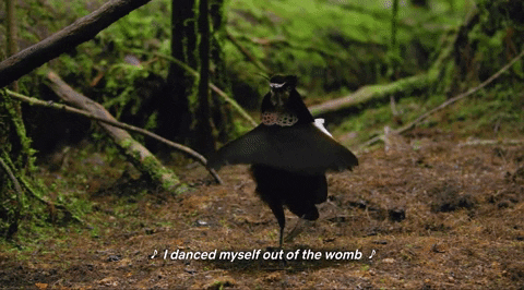 T Rex Cosmic Dancer GIF - Find & Share on GIPHY