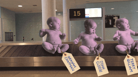 GIF by Monty Python - Find & Share on GIPHY