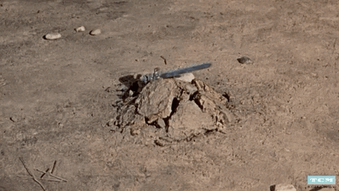 Ray Harryhausen Odyssey GIF by Turner Classic Movies - Find & Share on ...