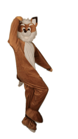 Rollins Fox Day Sticker by Rollins College for iOS & Android | GIPHY