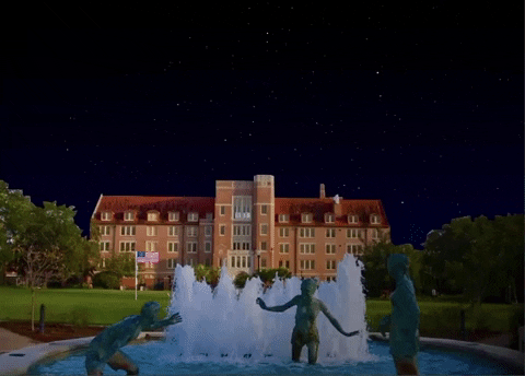 GIF by Florida State University - Find & Share on GIPHY