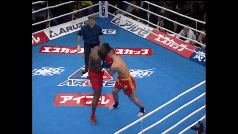 Sick Knockout GIF by GLORY Kickboxing - Find & Share on GIPHY