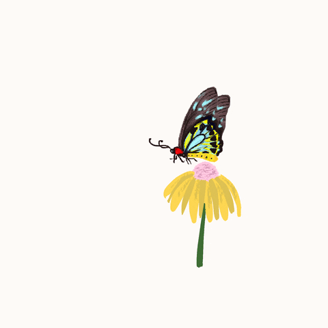 Flower Flying GIF - Find & Share on GIPHY