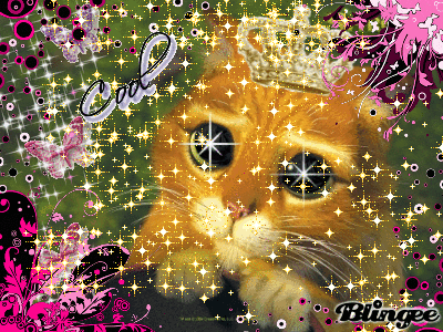 Shiny GIFs - Find & Share on GIPHY