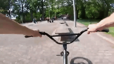 Bike Bmx GIF by woozyBMX - Find & Share on GIPHY