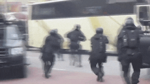 Bus Swat GIF - Find & Share on GIPHY