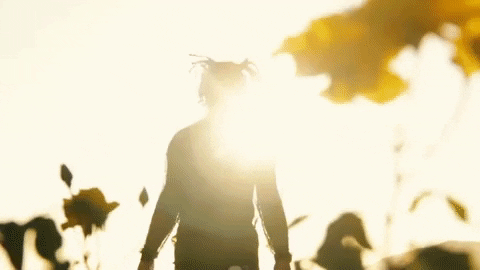 Visualizer GIF by Trippie Redd - Find & Share on GIPHY