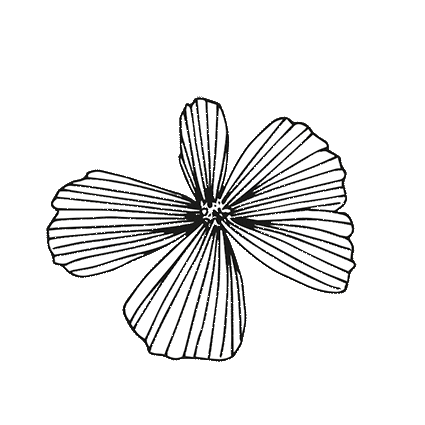 Flower Drawing Sticker by Jinny Ngui Design for iOS & Android | GIPHY