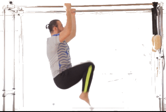 Fitness Exercise GIF by Studio Pilates - Find & Share on GIPHY