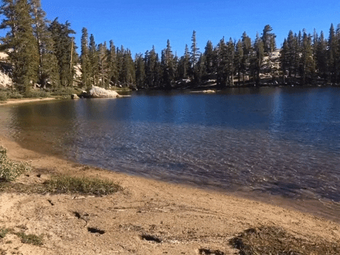 Sierras GIF by Justin - Find & Share on GIPHY