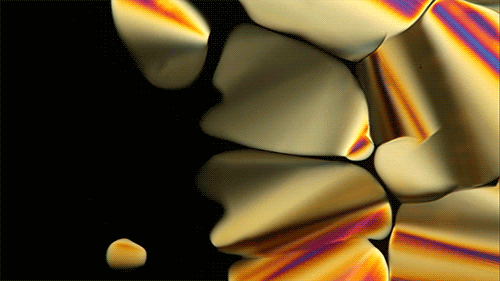 Autism Speaks Dna GIF by MSSNG - Find & Share on GIPHY