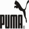 Puma GIF - Find & Share on GIPHY