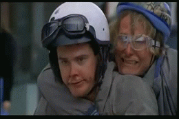 Dumb And Dumber GIF - Find & Share on GIPHY