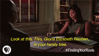 Gloria Reuben Genealogy GIF by PBS - Find & Share on GIPHY