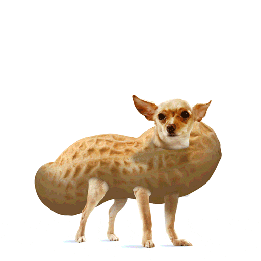 Yippee GIF by SKIPPY Peanut Butter - Find & Share on GIPHY