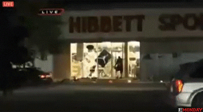 Cops Looting GIF by FirstAndMonday - Find & Share on GIPHY