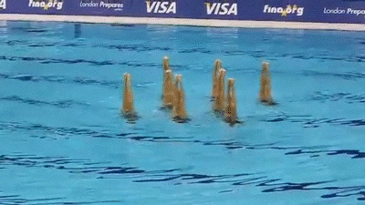 Swimming GIF - Find & Share on GIPHY