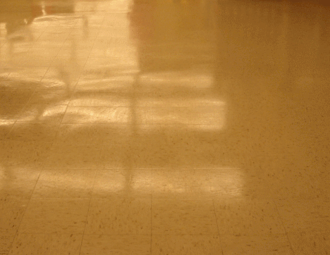 Floor GIFs - Find & Share on GIPHY