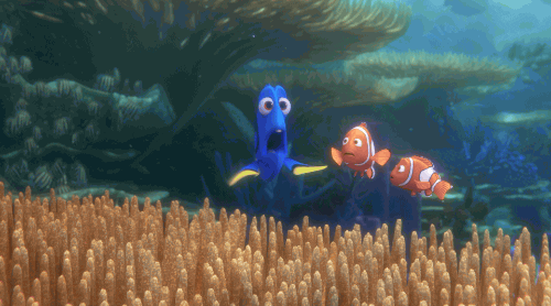 Finding Dory Pixar Gif GIF by Disney Pixar - Find & Share on GIPHY