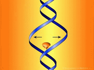 Dna GIF - Find & Share on GIPHY