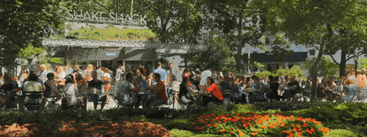 Shake Shack GIF - Find & Share on GIPHY