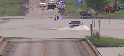 Flood GIF - Find & Share on GIPHY