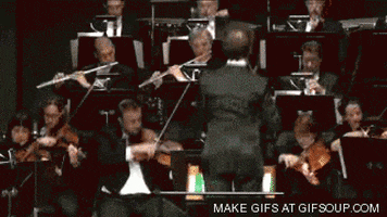 Conductors GIFs - Find & Share on GIPHY