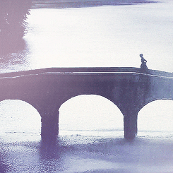 Bridge GIF - Find & Share on GIPHY