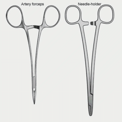 Instrument GIF - Find & Share on GIPHY