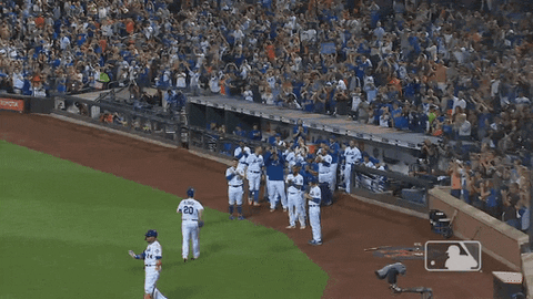 Celebrate Ny Mets GIF by New York Mets - Find & Share on GIPHY