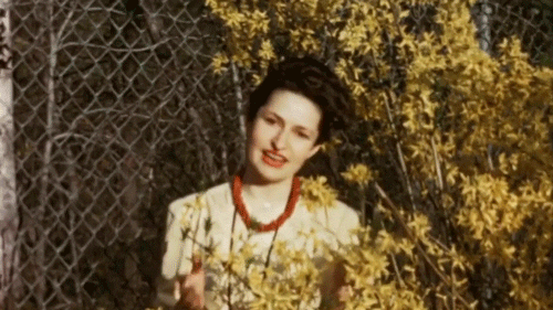 Lady Bird Flowers GIF by lbjlibrary - Find & Share on GIPHY