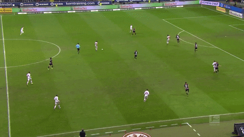 1 Fc Cologne Football GIF by 1. FC Köln - Find & Share on GIPHY
