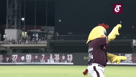Baby Baseball GIF by Club Tomateros - Find & Share on GIPHY
