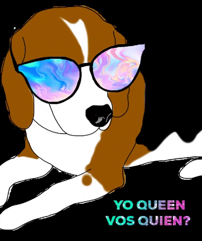 Beagle GIF - Find & Share on GIPHY