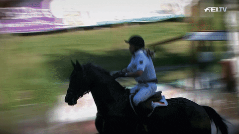 Celebrate Cross Country GIF by FEI Global - Find & Share on GIPHY