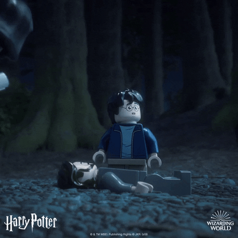 Wizardingworld GIF by LEGO - Find & Share on GIPHY
